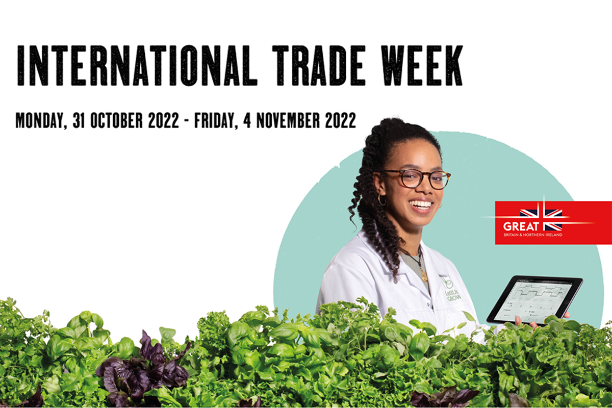 Alibaba export events - International Trade Week