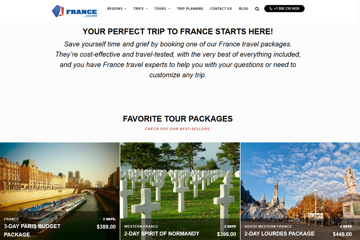 France.com domain confiscated after 24 years of operation - ChannelX