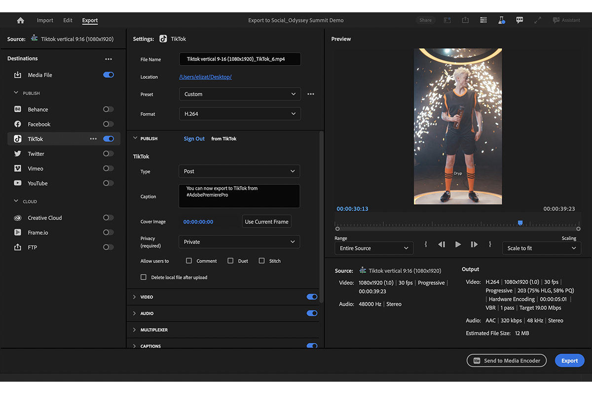 New TikTok Direct Post - Content Posting API - ChannelX